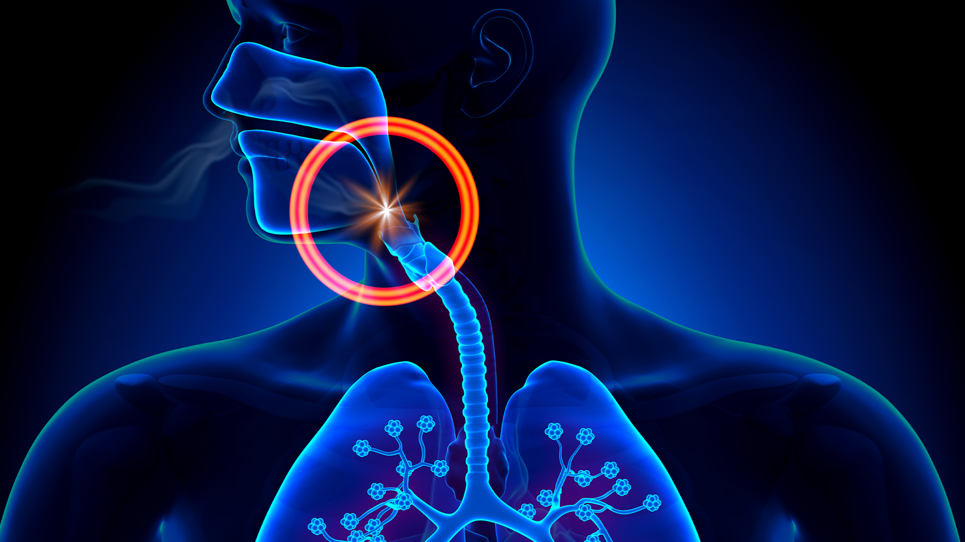 Sleep Apnea - Jackson Sleep Solutions